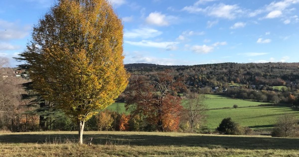 Norbury Park and the Mole Gap Trail - Ramblers