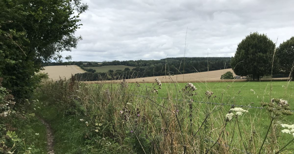 11 miles - Preston Candover - Ramblers