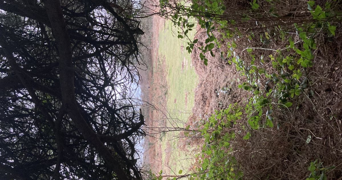 Chailey and Scaynes Hill circular walk - Ramblers