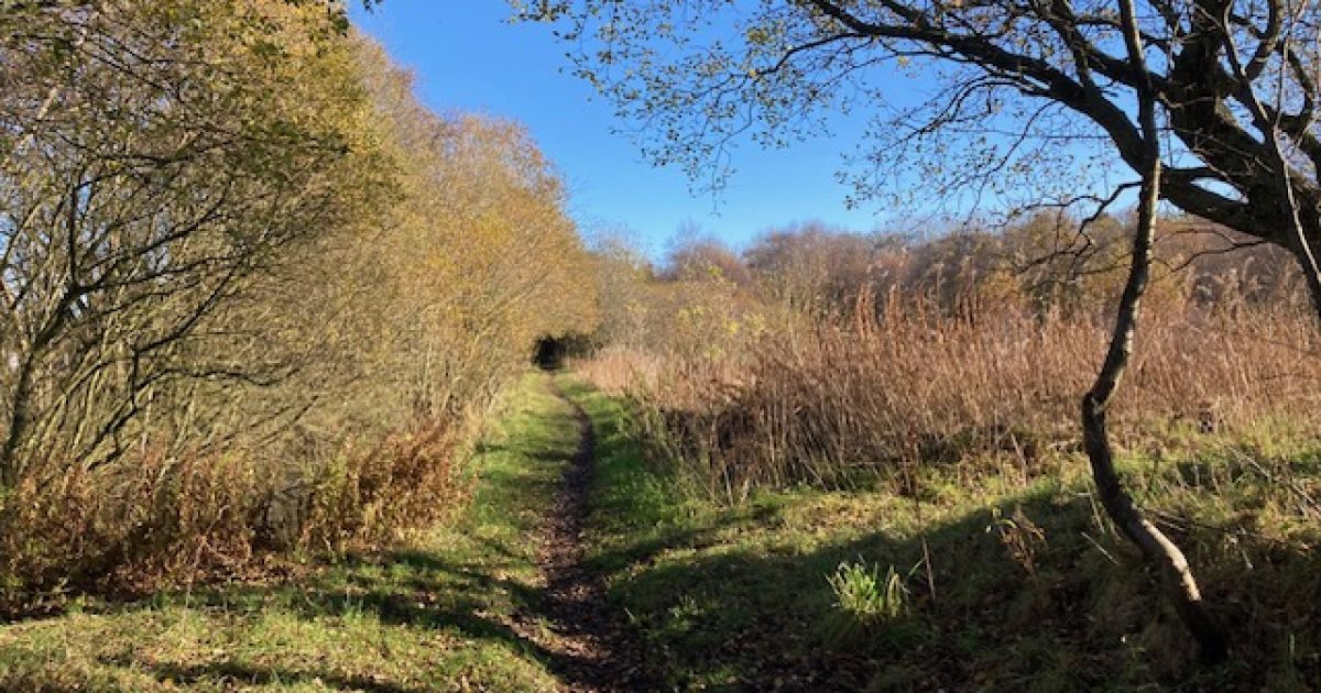 Annfield plain - Ramblers