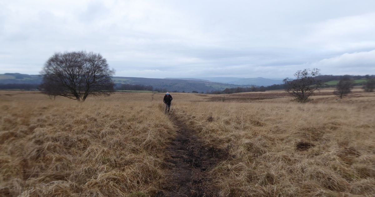 Hay Wood CP (Longshaw Estate) Extra Leisurely Walk - Ramblers