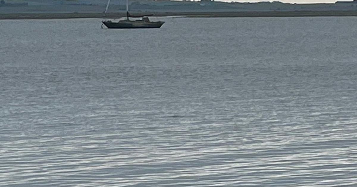 Wandering along the banks of The Swale finishing up in festive ...