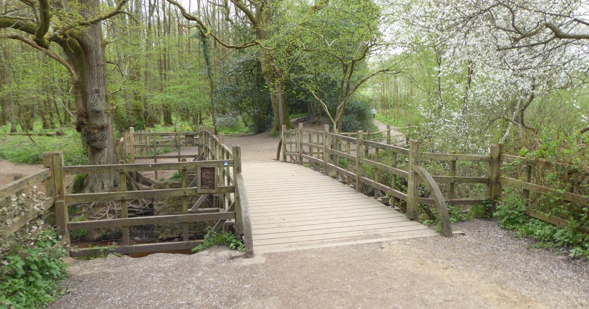 Hartfield Circular Walk via Pooh Bridge - Ramblers