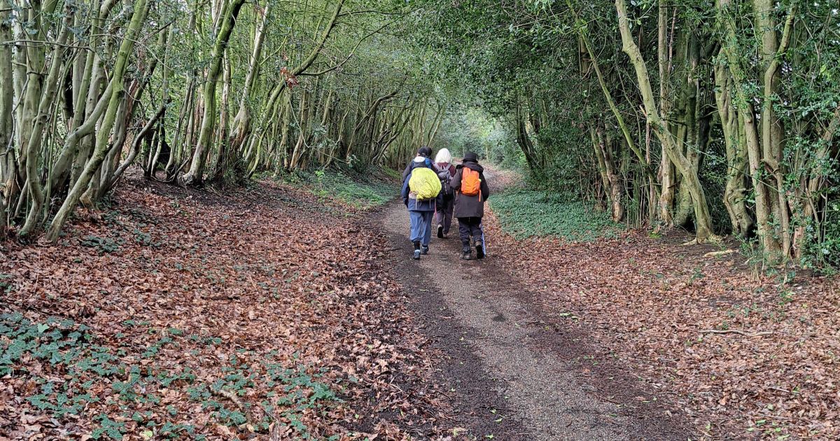 Short Walk: Sandwell Valley, RSPB Centre - Ramblers