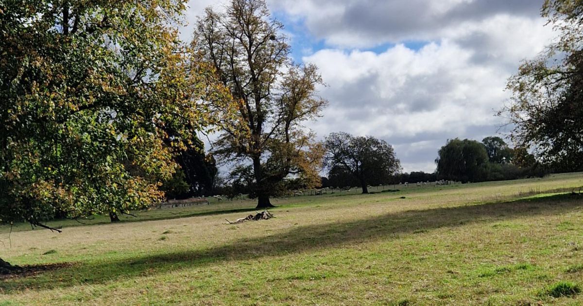 Histon To Cottenham Linear - Ramblers