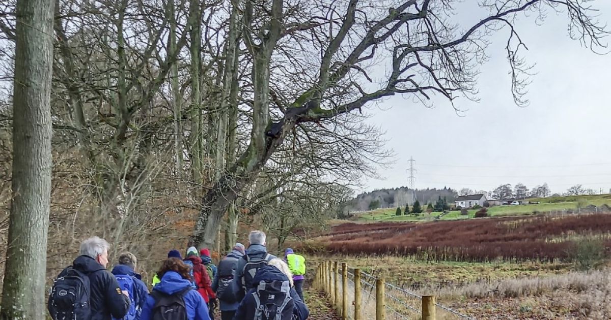 Luncarty to Perth - Ramblers