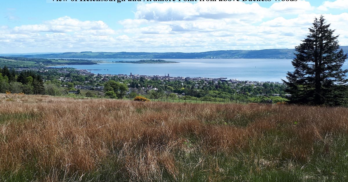 Coastal Walk to Ardmore Point - Ramblers