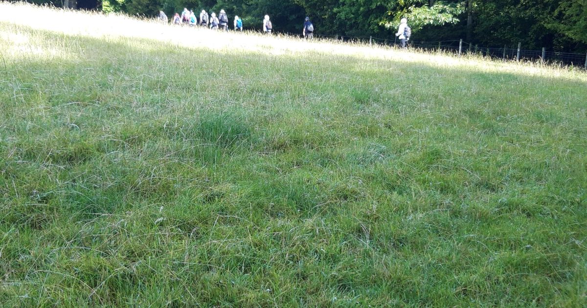 Auchinstarry circular via Twechar and Bar Hill - Ramblers