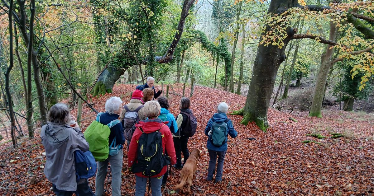 West Mendip Walkers - Ramblers