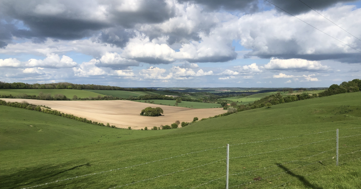 Thurle Down - Compton - Aldworth (circular, 10.5 miles) - Ramblers