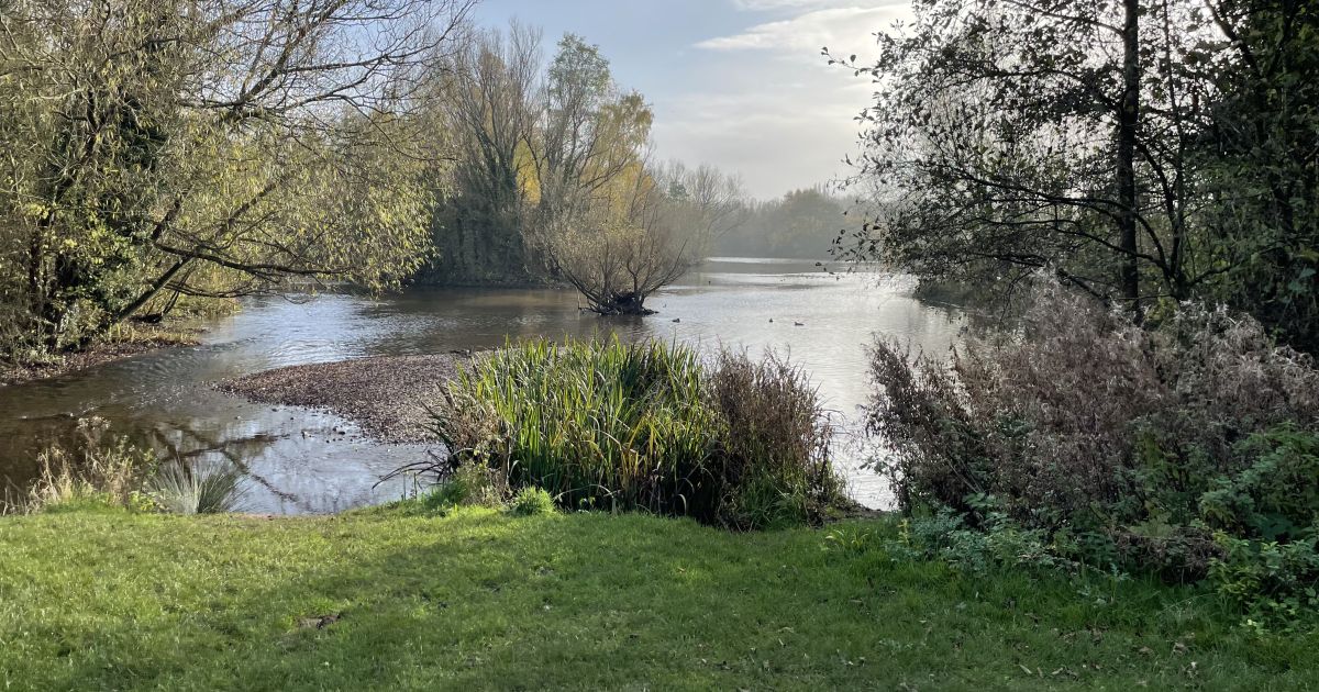 Bookable - Bestwood Country Park - Different from New Year's walk ...