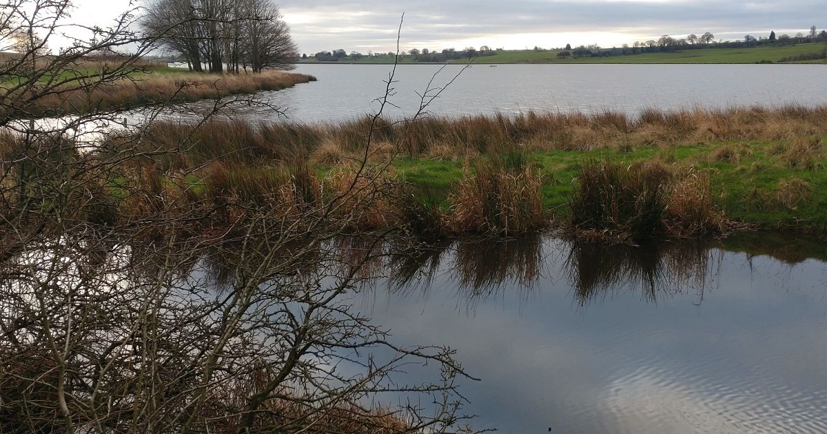 Blithfield Reservoir - Ramblers