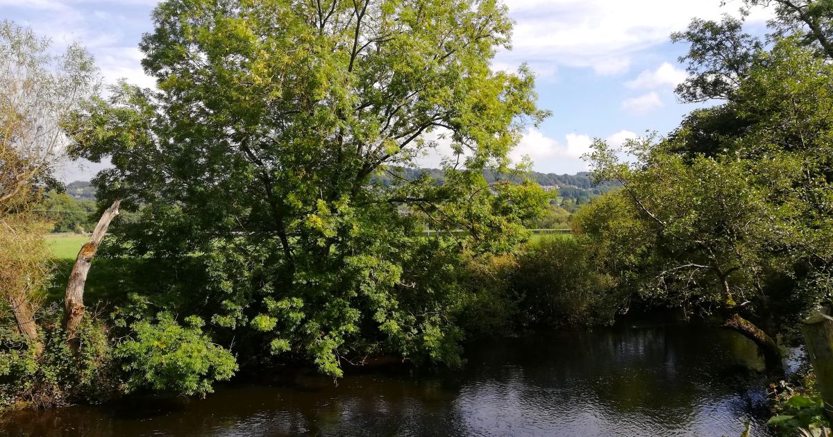Extra leisurely walk from Darley Bridge - Ramblers