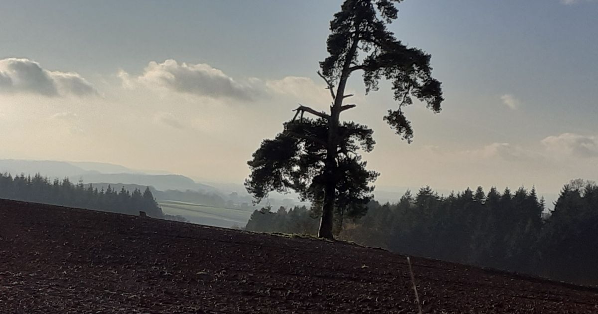 Around Docklow – 3 Churches, 2 Trails, 1 Pub - Ramblers