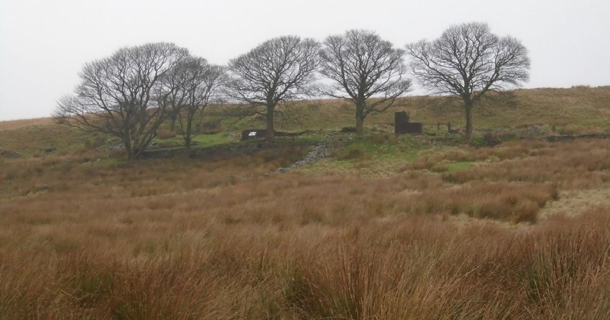 Drinkwaters and White Coppice - Ramblers