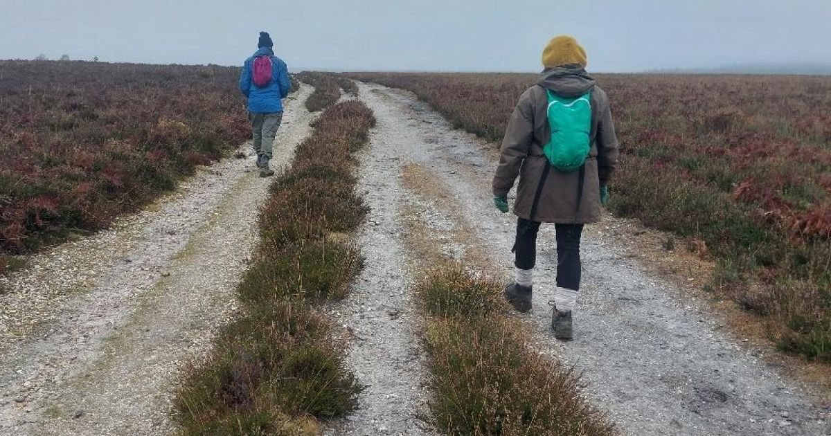 GORLEY COMMON - Ramblers
