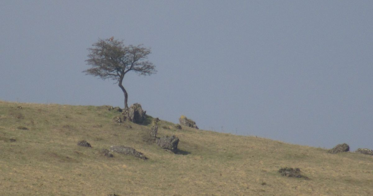 Minninglow Meander - Ramblers