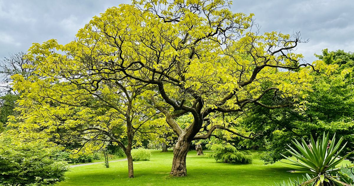 Beautiful Bath - Ramblers