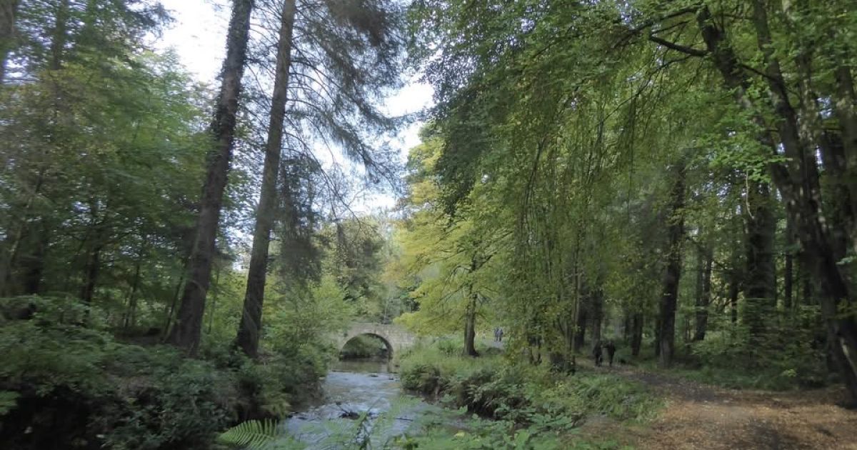 West Fife Woodlands from Culross circular - Ramblers