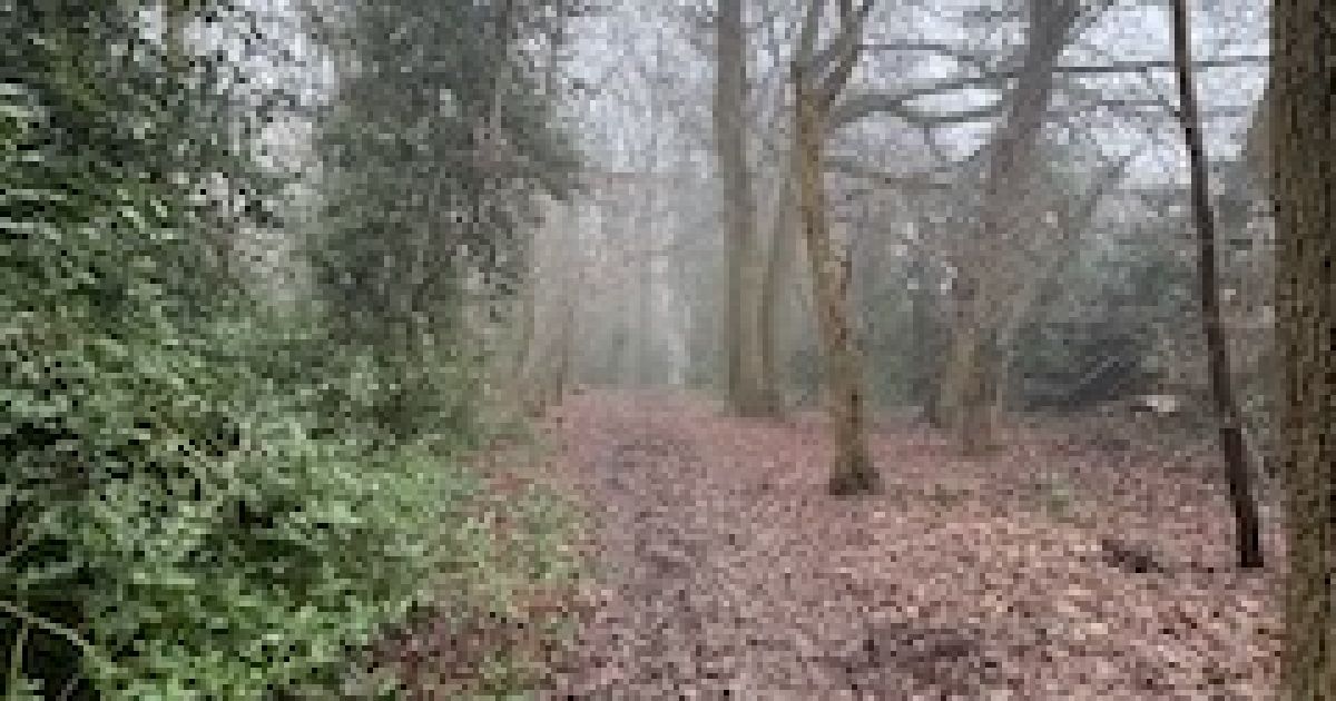 Nunnery and Perry Woods - Ramblers