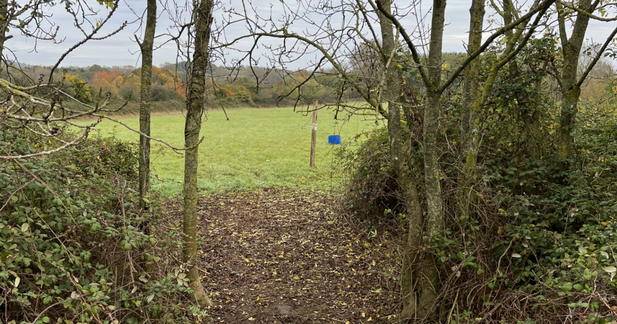 Ditchford Path Check - Ramblers