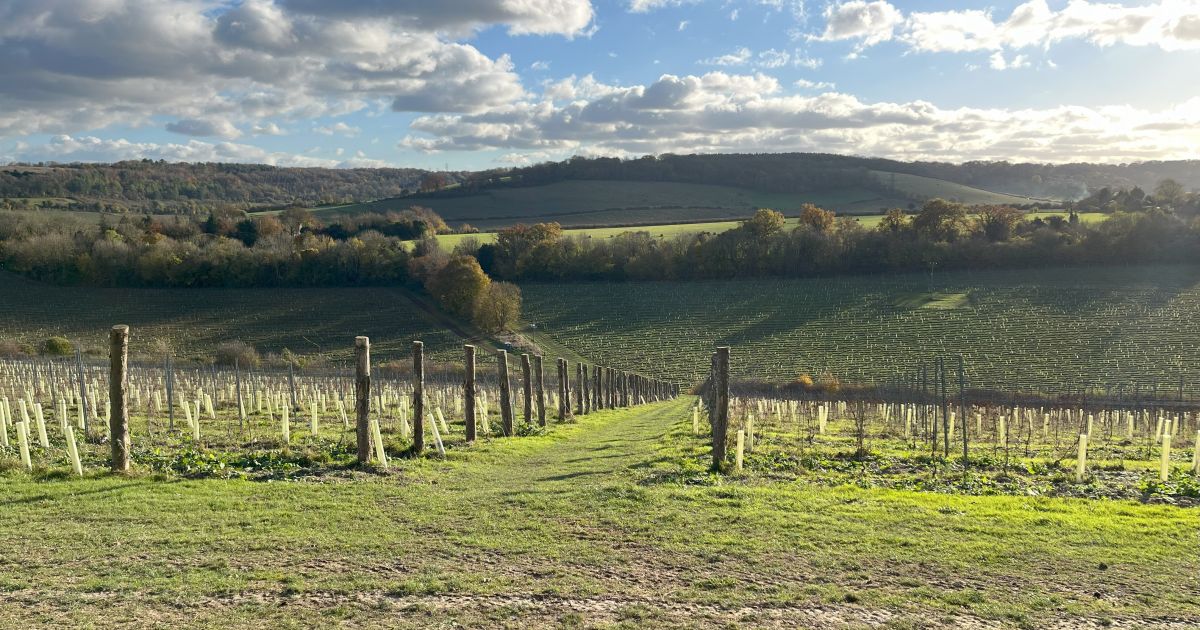 Marc's Camer Park, Meopham Walk - Ramblers