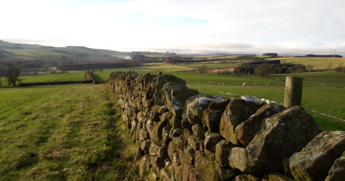 Newbrough and the South Tyne - Ramblers