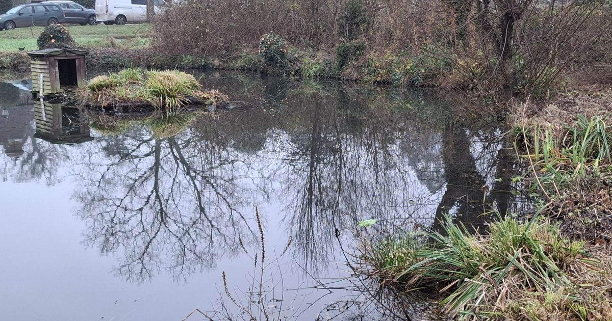Shamley Green and the Downs Link - Ramblers