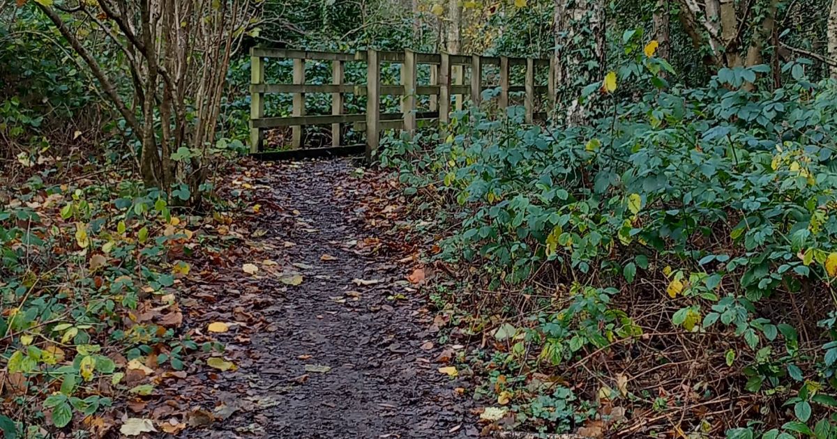 Valley Park Woodlands - North - Ramblers