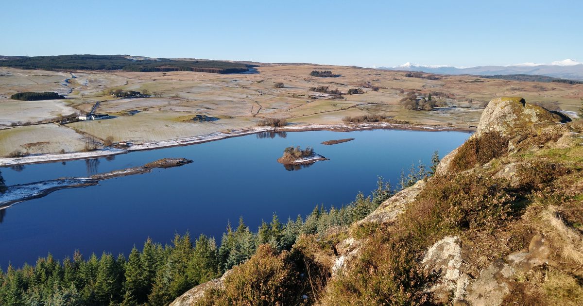 Lewis Hill - walk on the wild side (of Stirling) - Ramblers