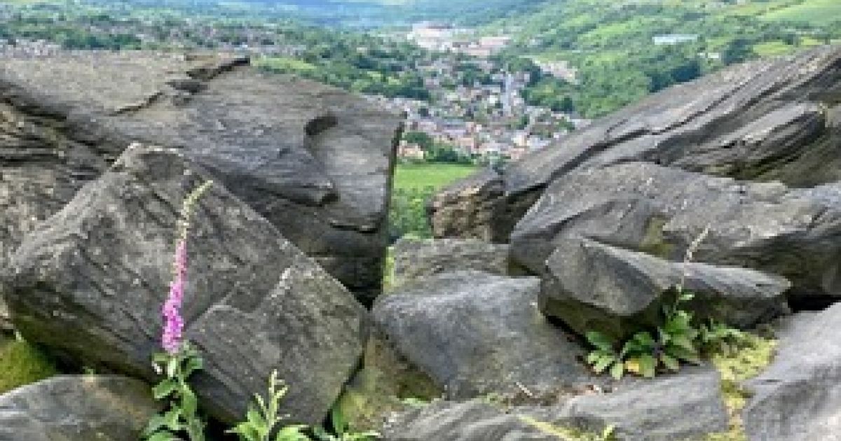 Chasing o'er t Crags in Wharncliffe - Pre-booking with the Walk Leader ...
