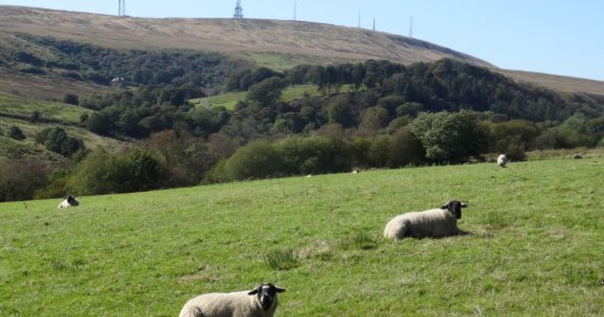 Brinscall near Chorley, Lancashire. South Pick-up - Ramblers