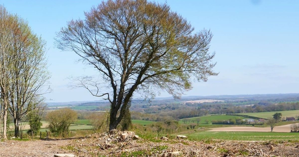 Lockerley circular - Ramblers
