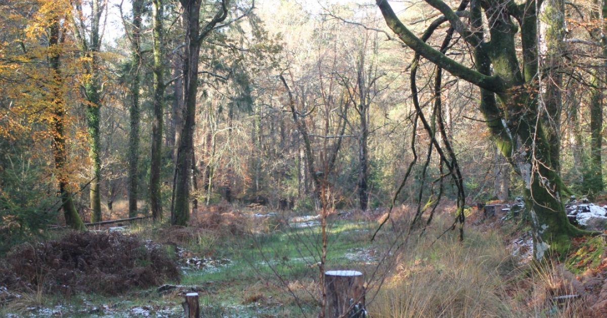 Botley Circular - Ramblers