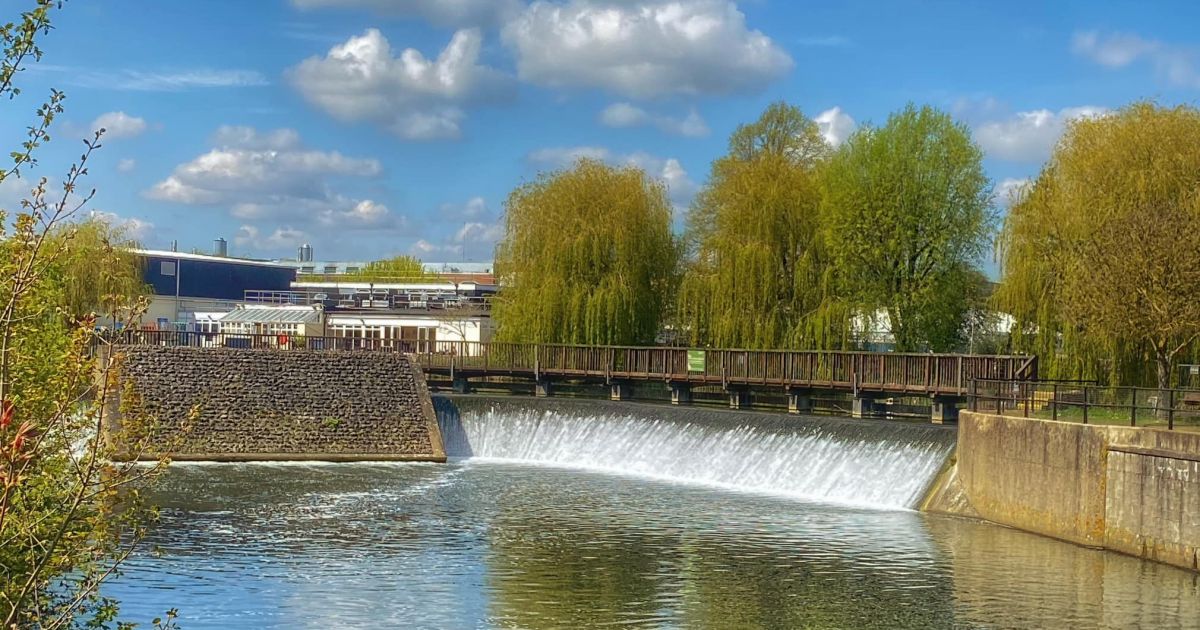 Kings Mead and River Lea - Ware - Ramblers