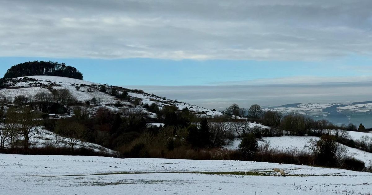 Hopesgate to Bromlow Callow - BOOKING CLOSED - Ramblers