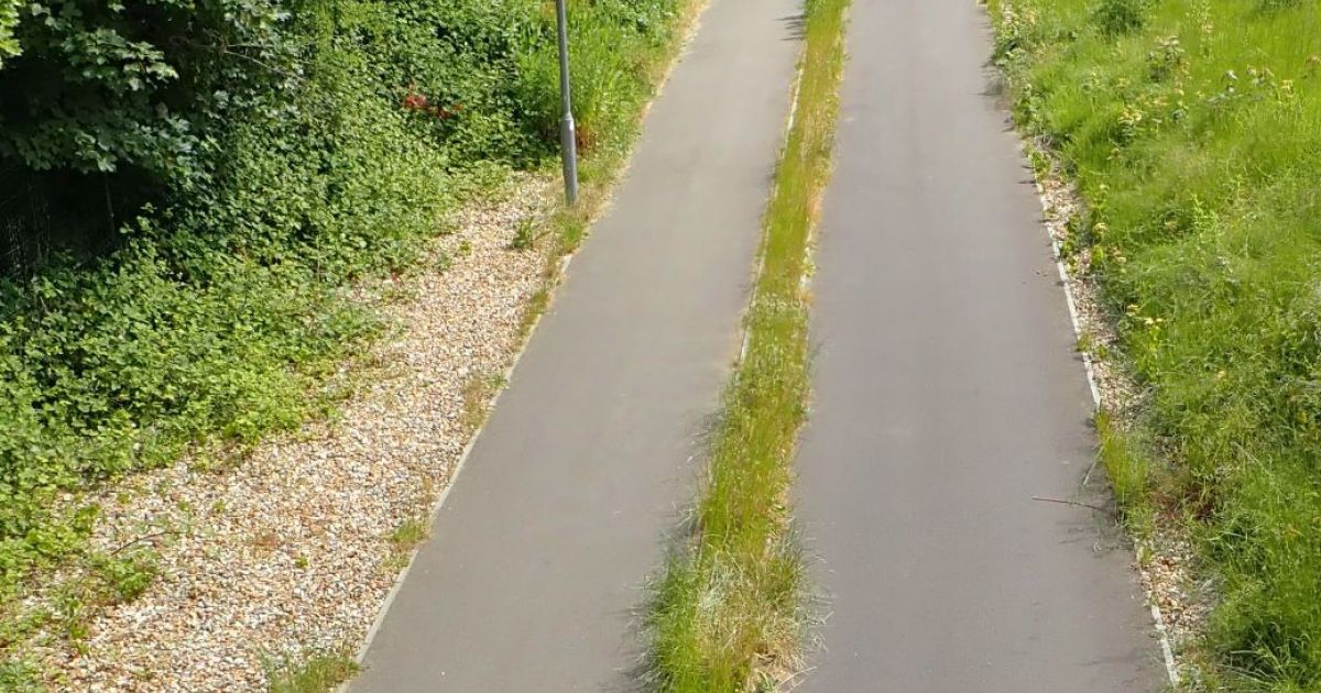 Beverley Brook – Linear Walk from New Malden to Putney - Ramblers