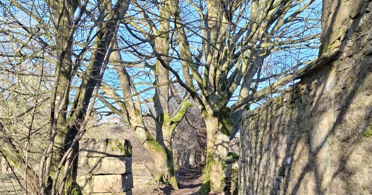 Kirkby Stephen loop - Ramblers