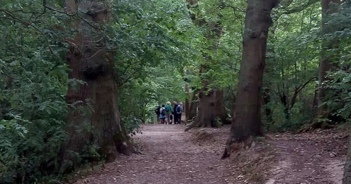 Middlewood Station to Bramhall - final details - Ramblers