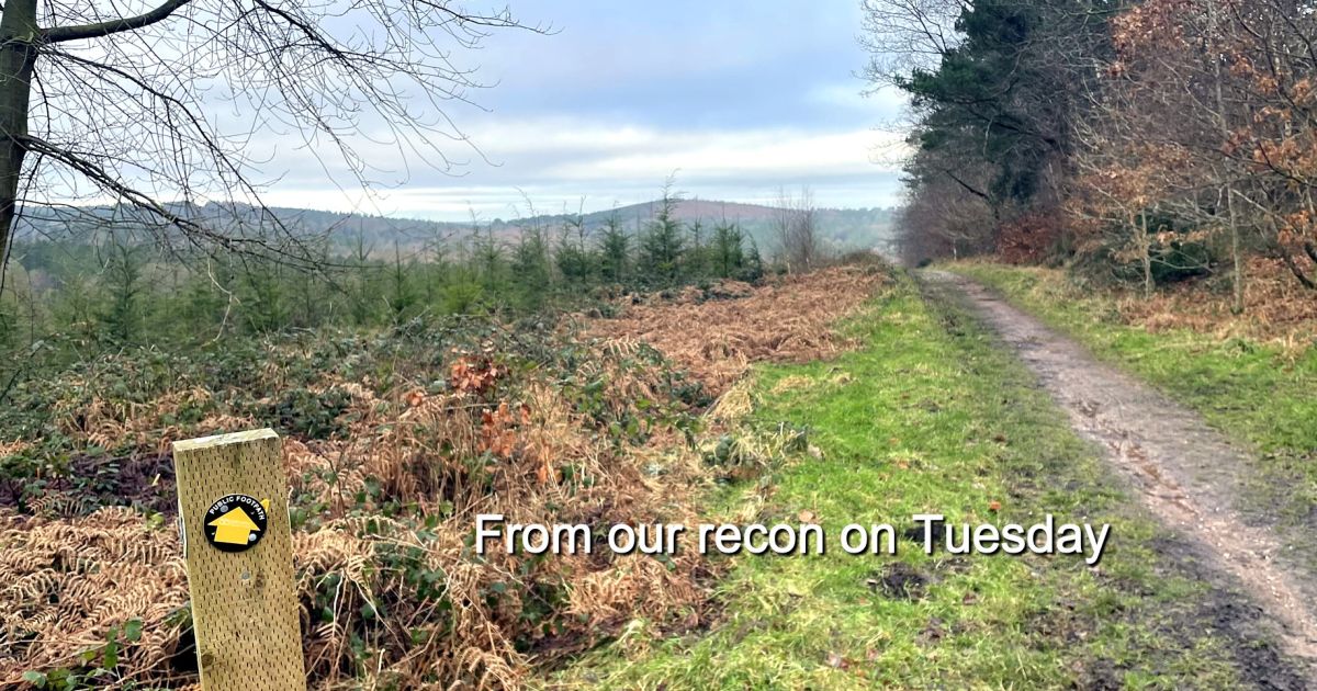 Cannock Chase from Castle Ring, Cannock Wood, Staffordshire - Ramblers