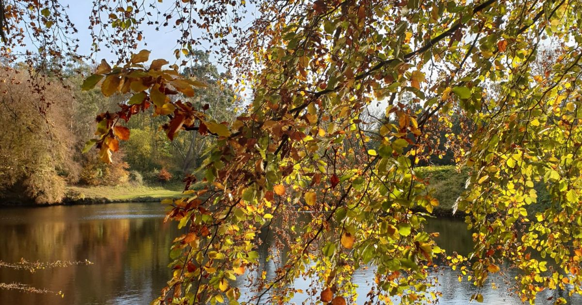 Clapham Lake Nature Trail