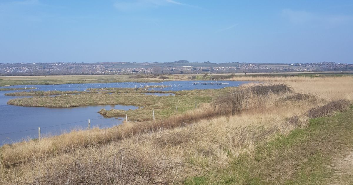 Farlington Marshes Walk