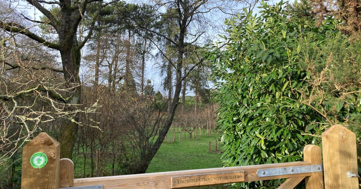 Helen W and Heather's Oxted Walk - Ramblers