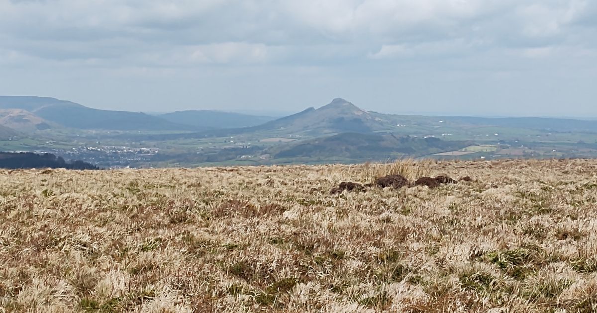 Lasgarn Woods and Pontypool Folly - Please register with Walk Leader ...