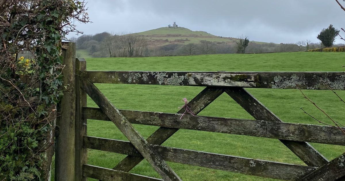 Brentor, Blackdown, Betsy and bacon butty - Ramblers