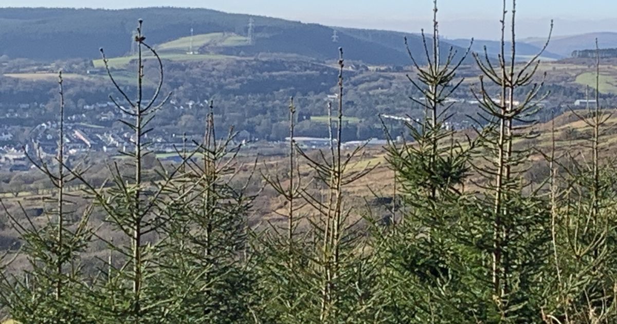 Llynfi Valley Walk from Maesteg Town Centre to Caerau, 8 mile circular ...