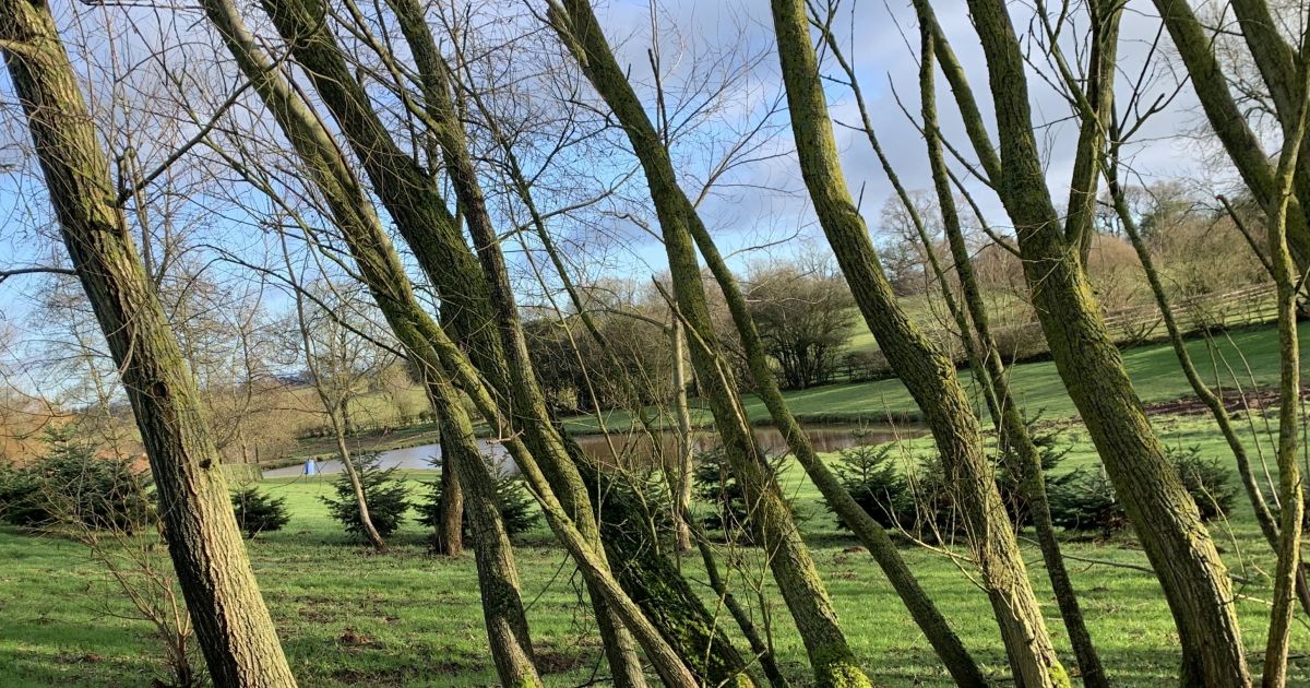 Fillongley, Warwickshire - Ramblers