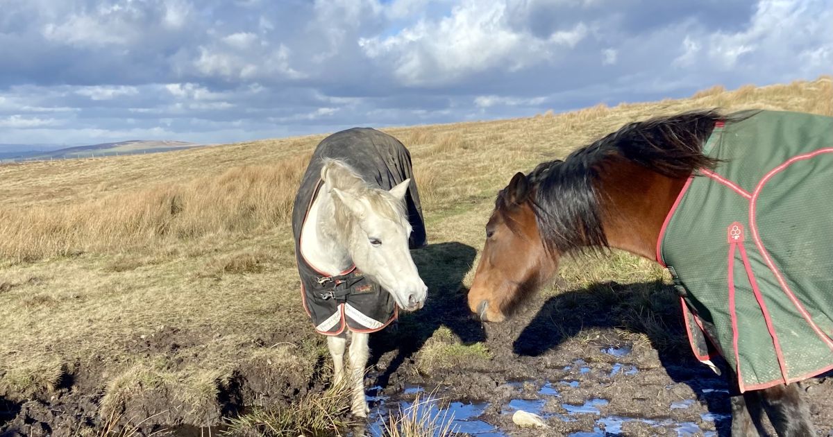 Boots on for Broadbottom - Ramblers