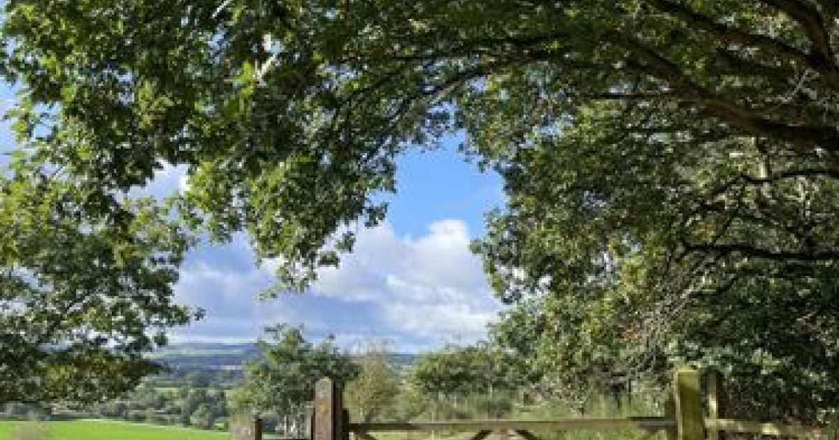 Lyth Hill - Panoramas without pain - Ramblers