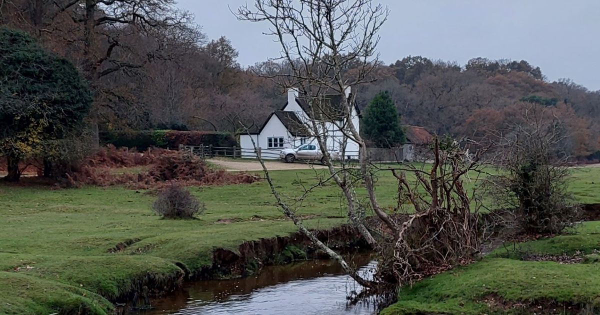 Fritham and Alderhill Inclosure Circular - Ramblers